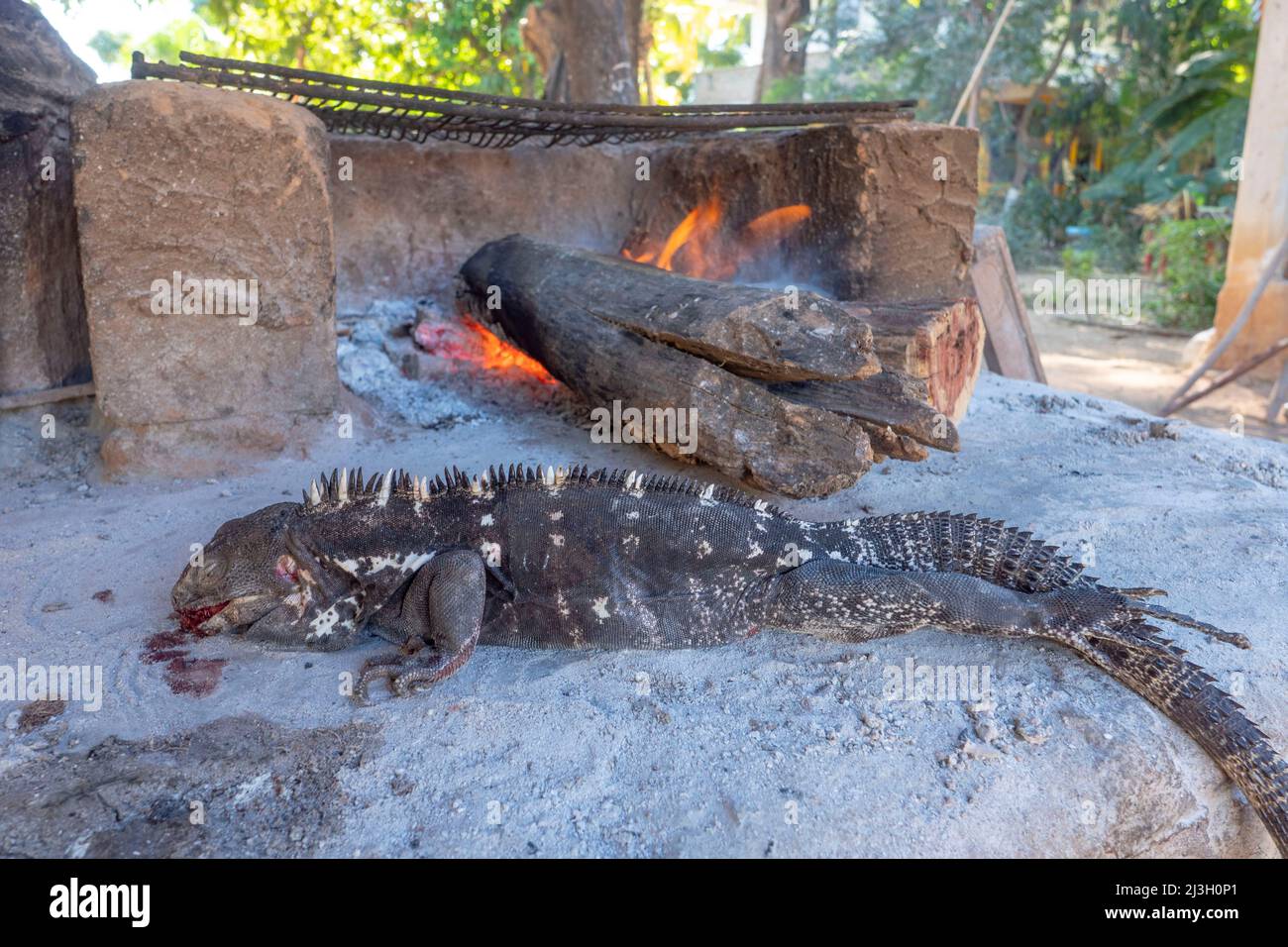 Mexico, State of Oaxaca, Puerto Escondido and its beach, Punta Zicatela ...
