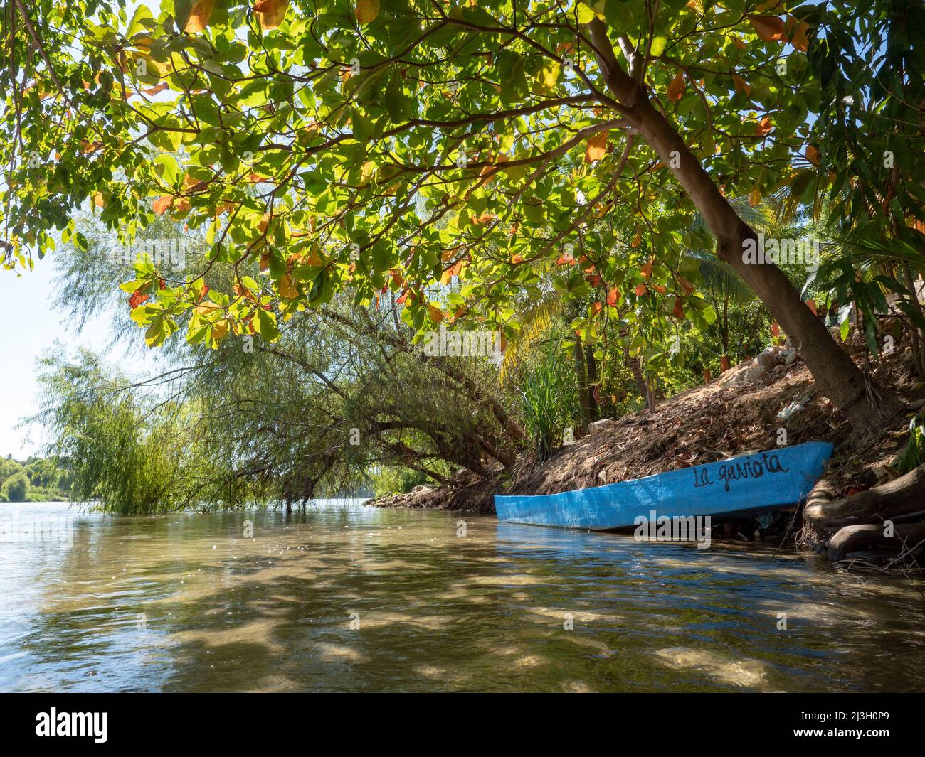 Mexico, State of Oaxaca, Puerto Escondido and its beach, the Punta ...