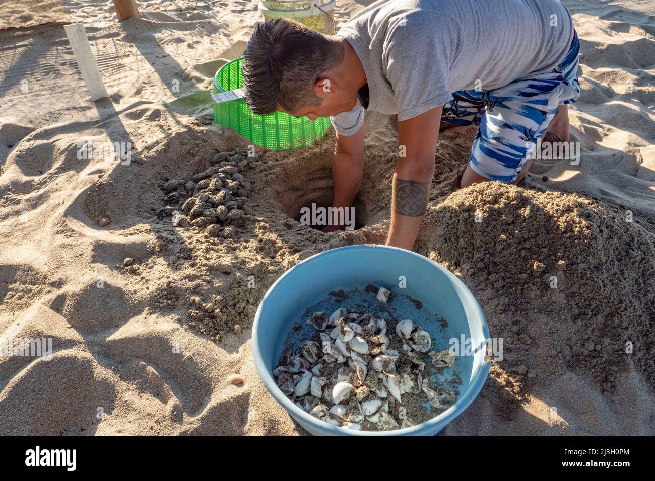 Mexico, State of Oaxaca, Puerto Escondido and its beach, Punta Zicatela ...