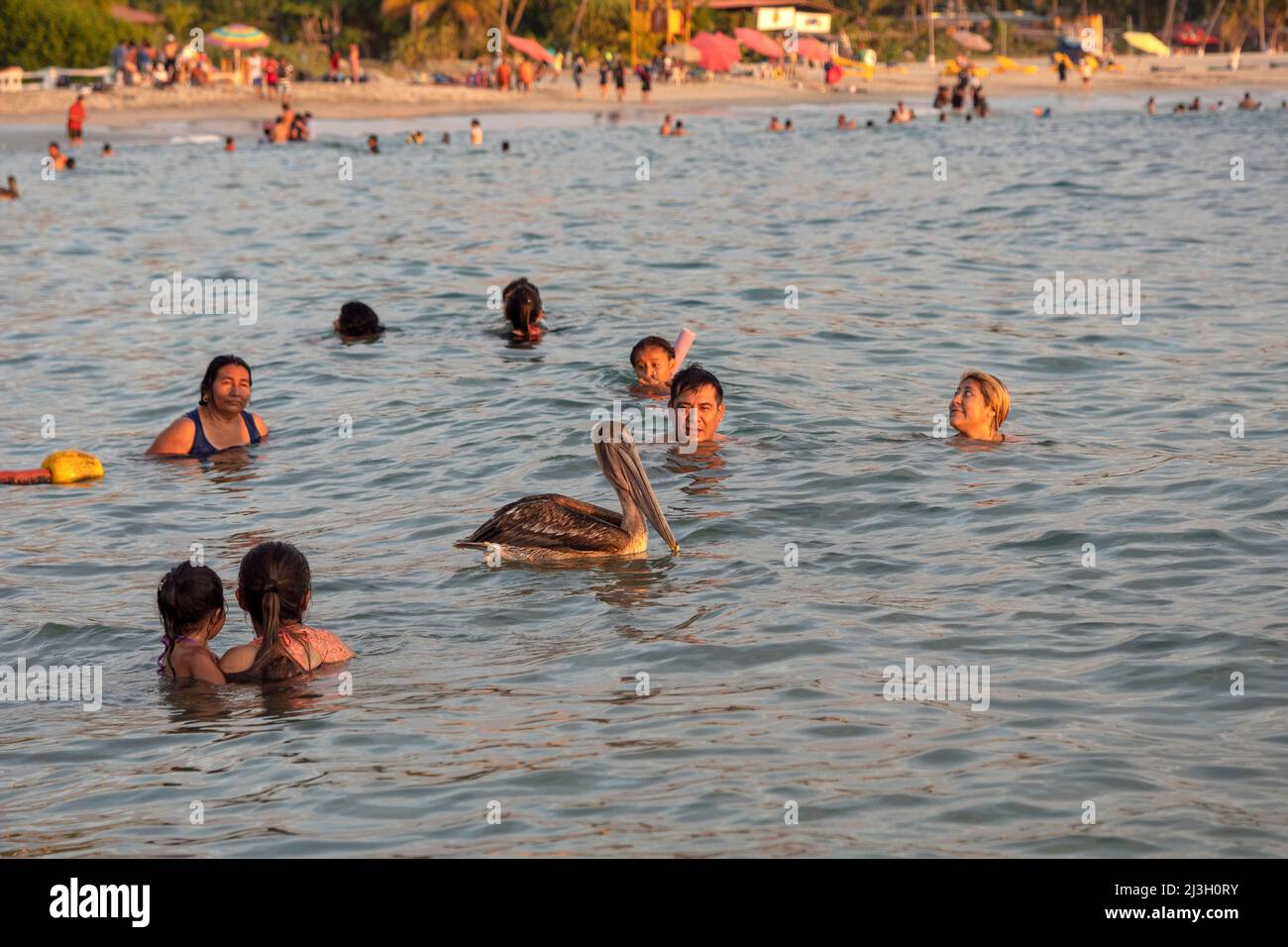 Mexico, Oaxaca State, Puerto Escondido and its beach, Punta Zicatela ...