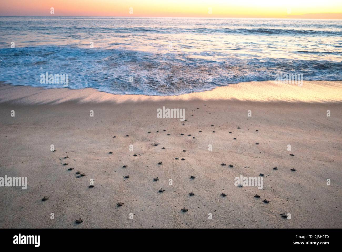 Mexico, State of Oaxaca, Puerto Escondido and its beach, Punta Zicatela ...