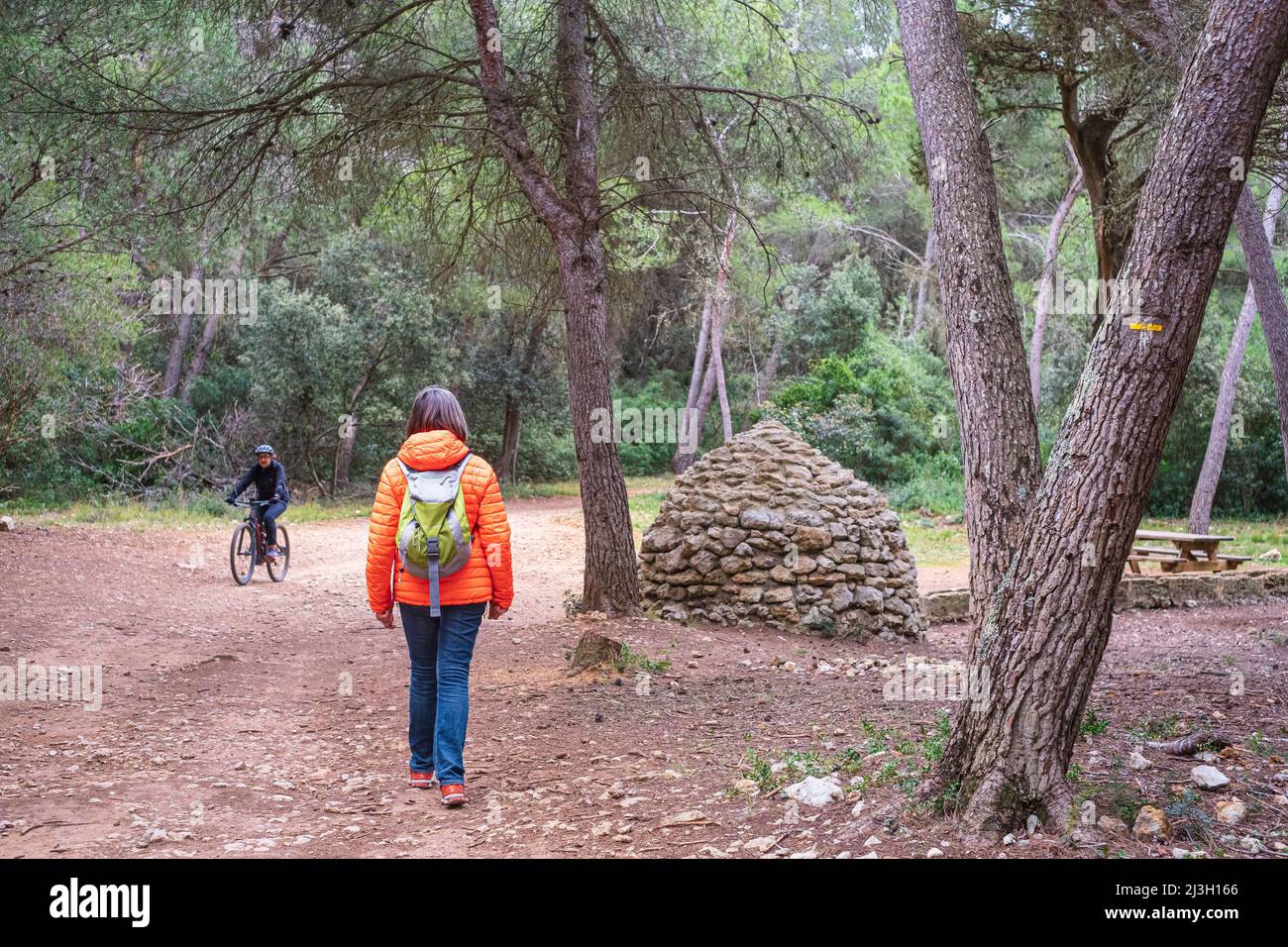 France, Herault, Vic-la-Gardiole, hike of the Aresquiers Forest between ...