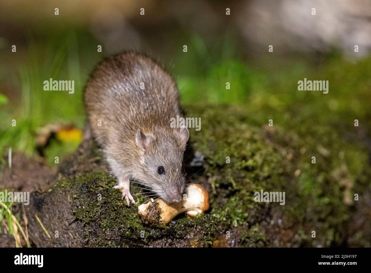 One hanover street hi-res stock photography and images - Alamy