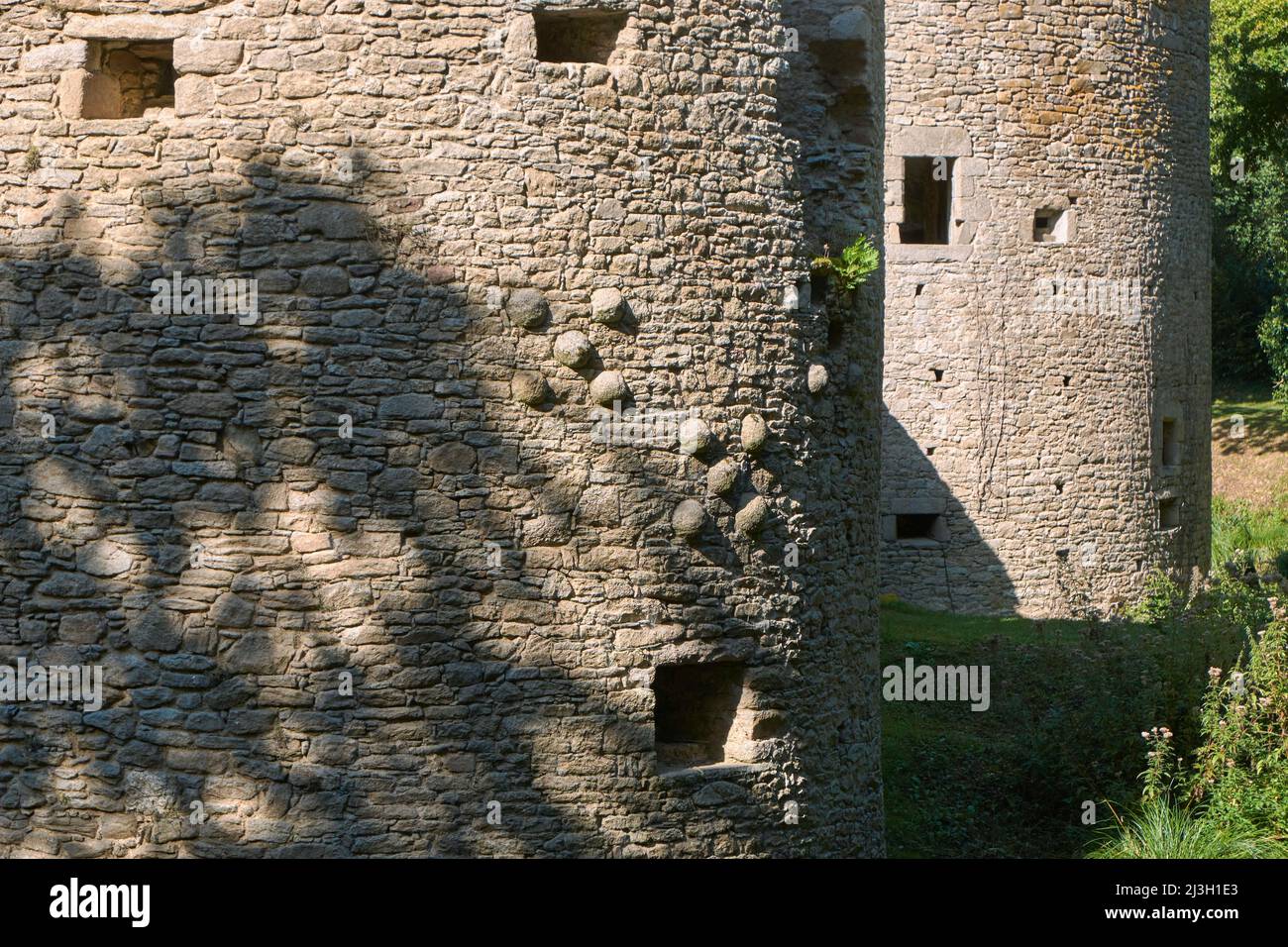 Coats of arms in the castle hi-res stock photography and images - Alamy
