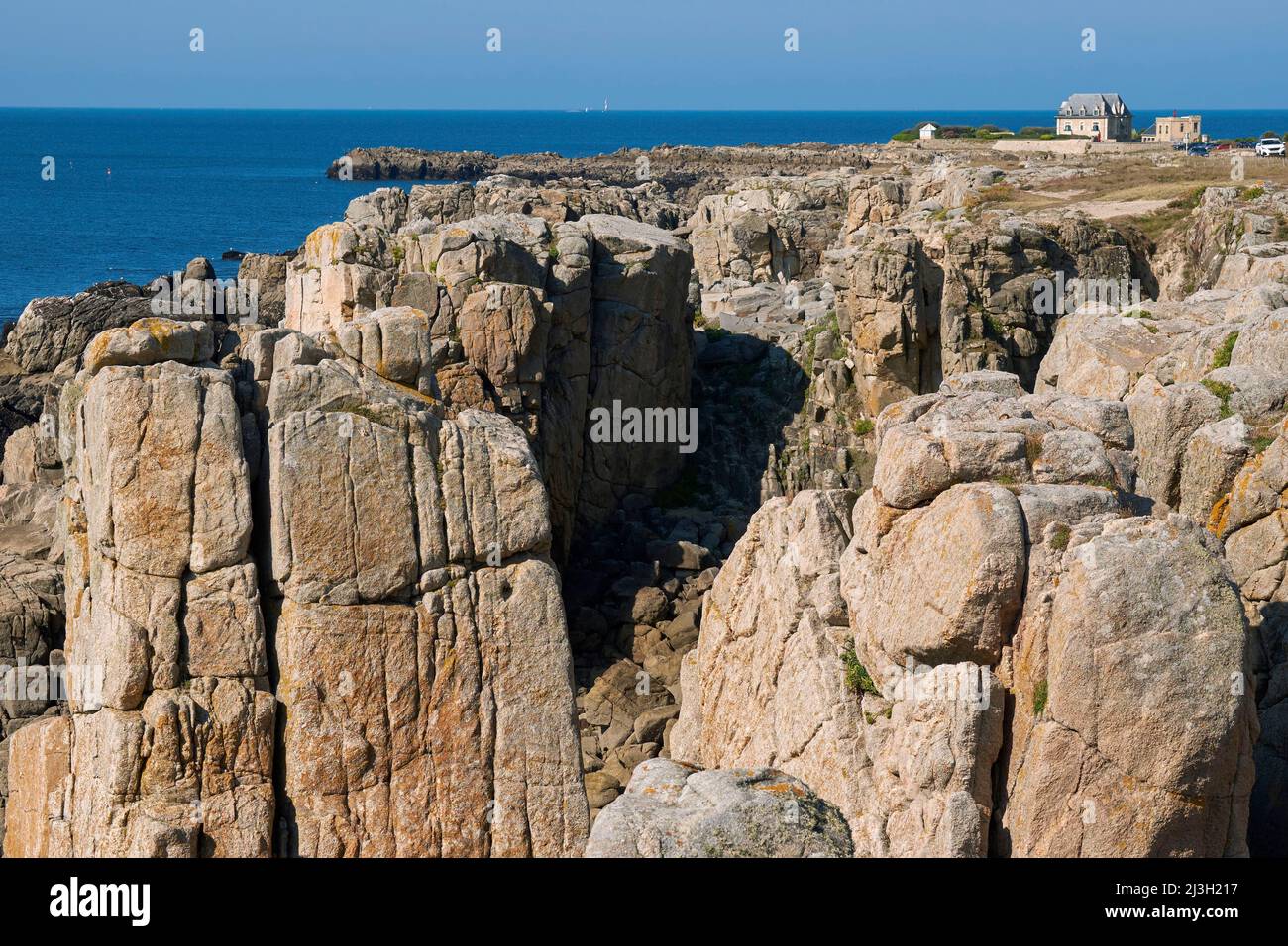 France, Loire Atlantique, Guerande peninsula, Le Croisic, the Wild ...