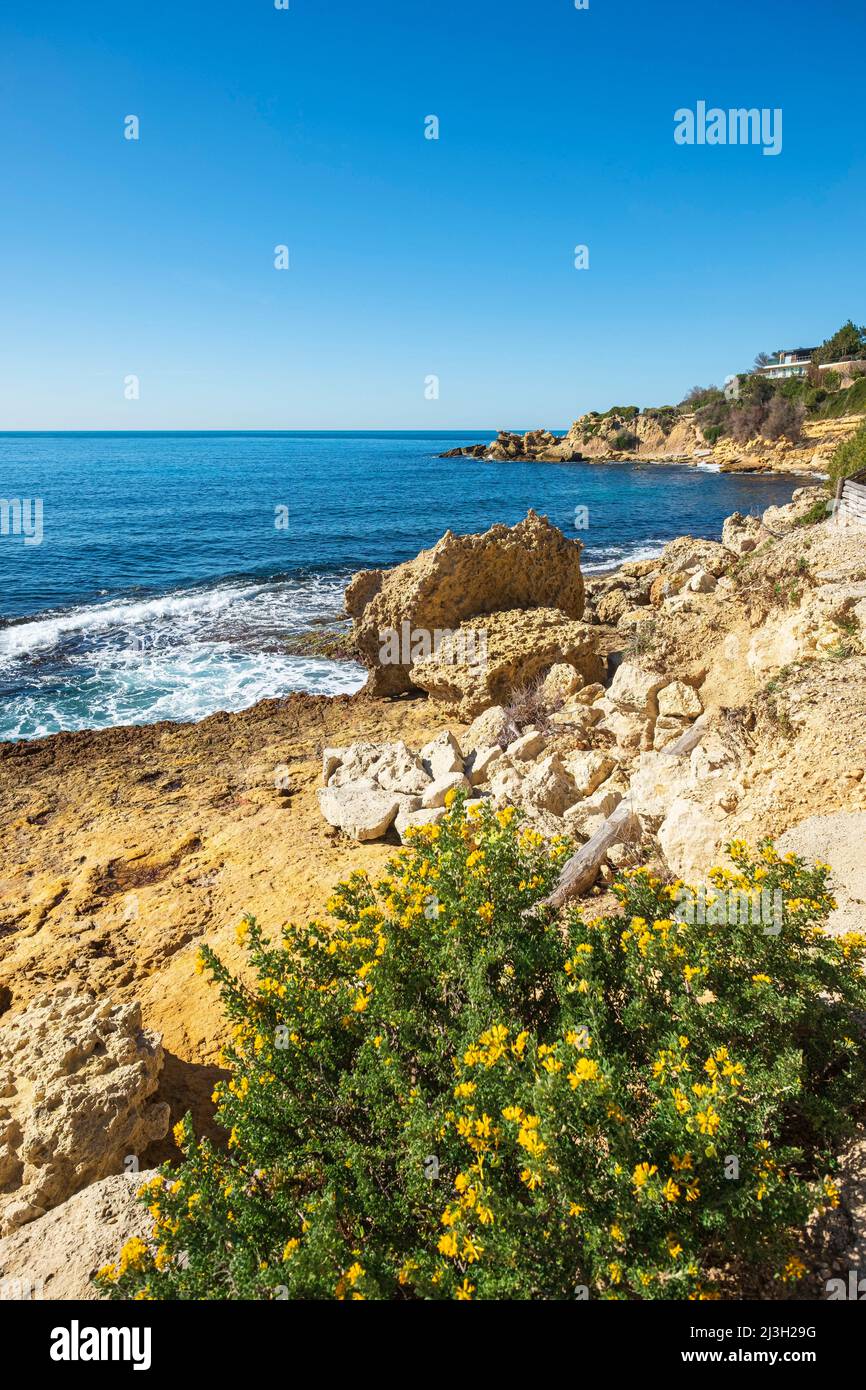 France, Bouches du Rhone, Blue Coast, Carry-le-Rouet, the Lizard Trail ...