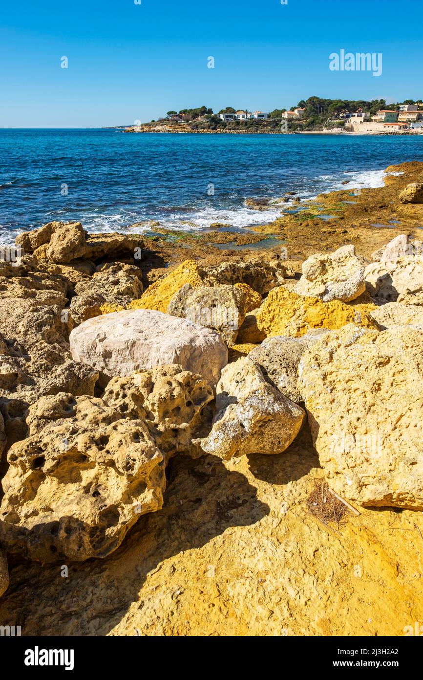 France, Bouches du Rhone, Blue Coast, Carry-le-Rouet, the Lizard Trail ...