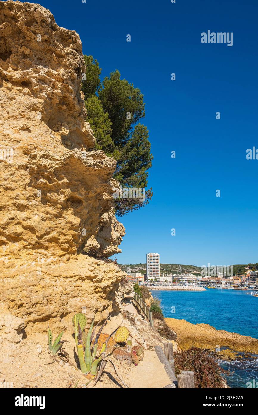 France, Bouches du Rhone, Blue Coast, Carry-le-Rouet, the Lizard Trail ...