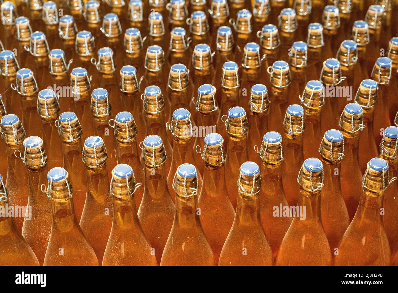 France, Seine Maritime, Villequier, François-Xavier Craquelin, cider ...