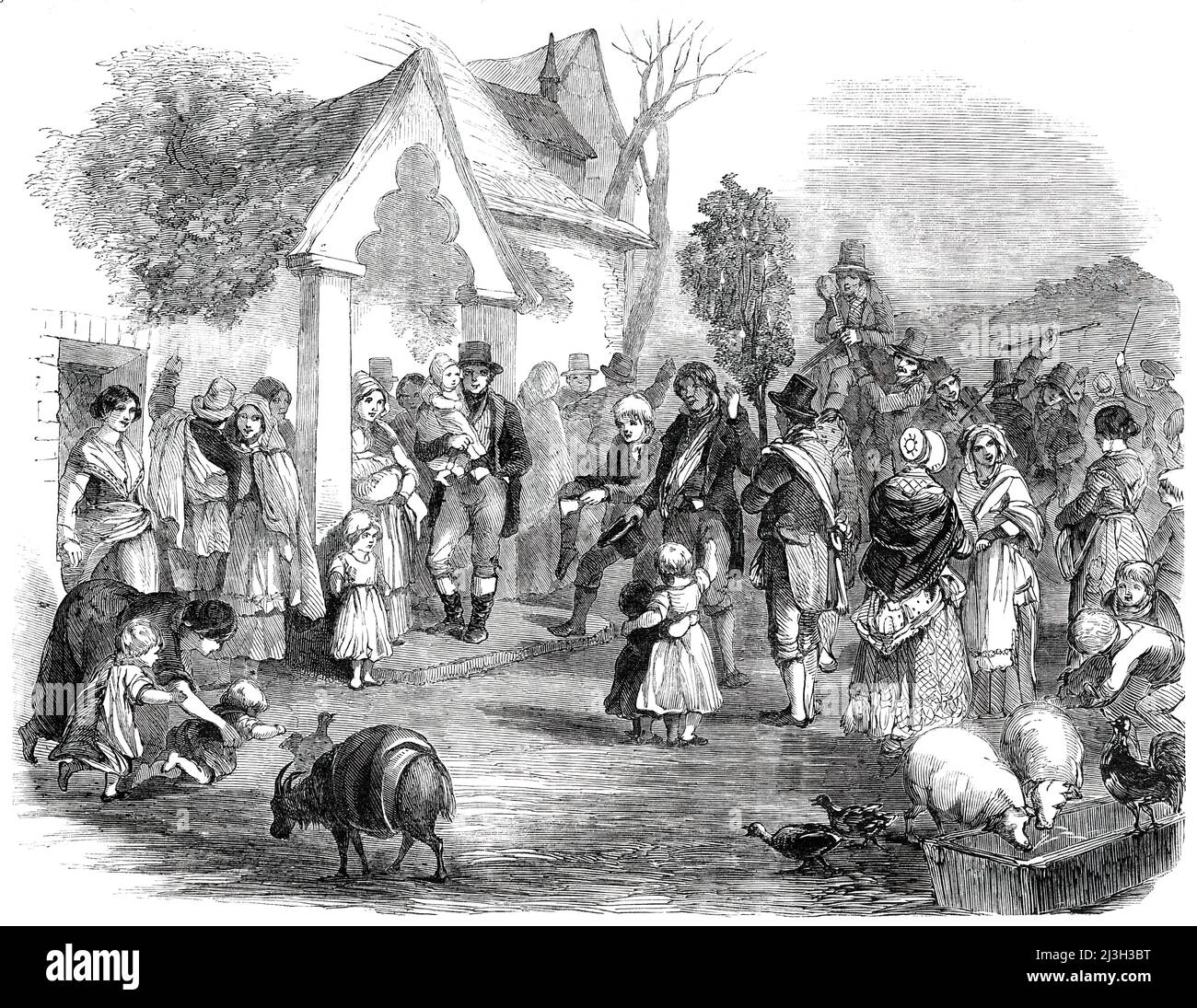 The wren boys hi-res stock photography and images - Alamy