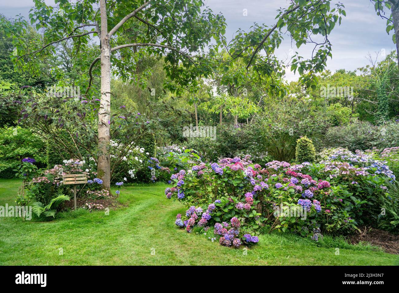France, Seine Maritime, Varengeville sur Mer, Jardin Shamrock, French ...