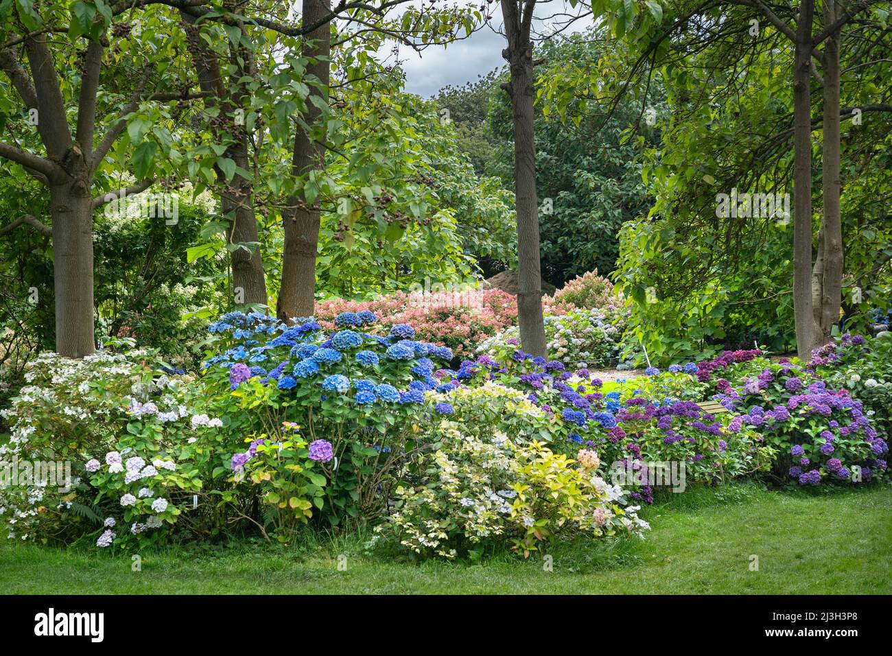 France, Seine Maritime, Varengeville sur Mer, Jardin Shamrock, French ...
