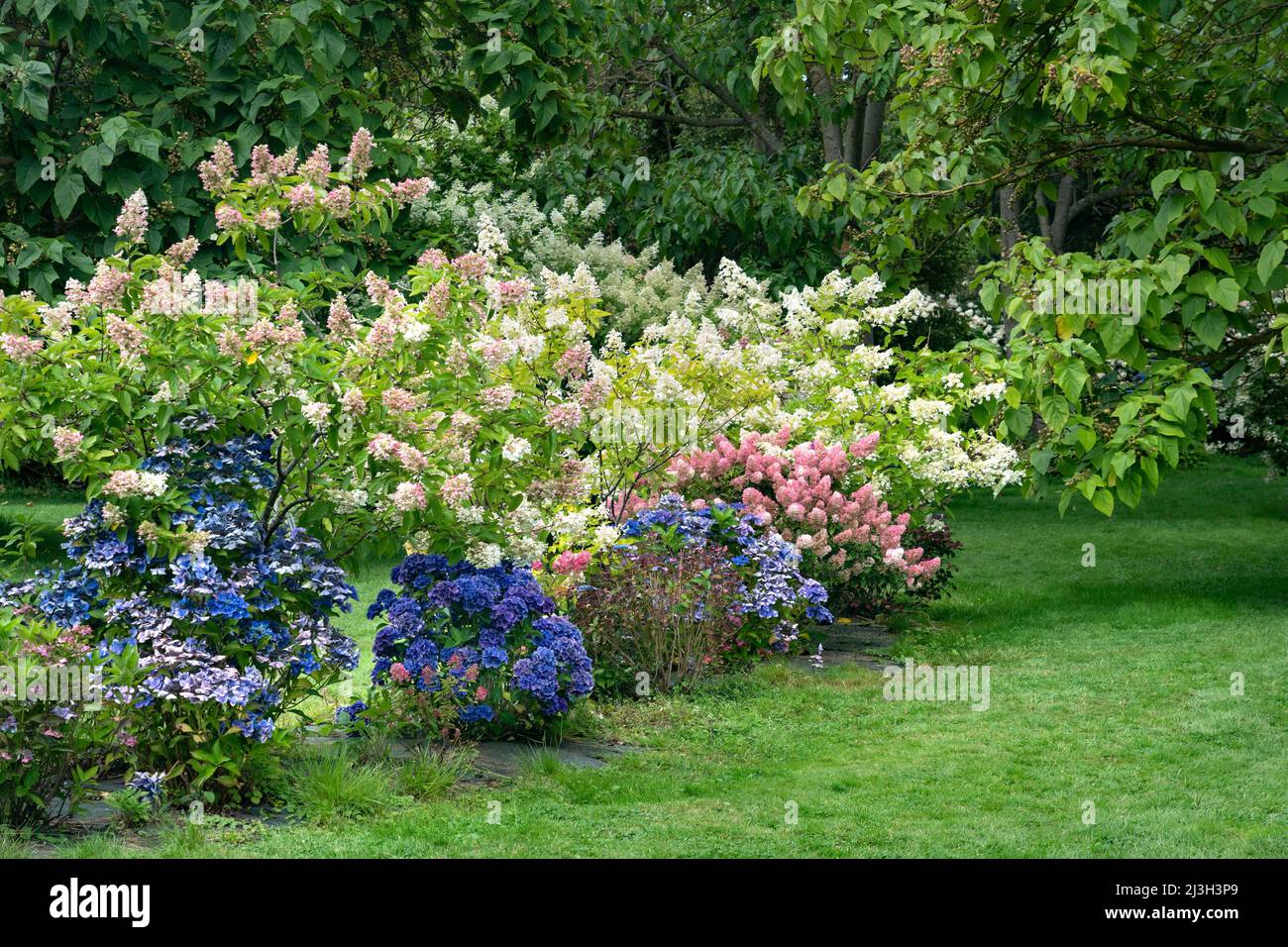 France, Seine Maritime, Varengeville sur Mer, Jardin Shamrock, French ...