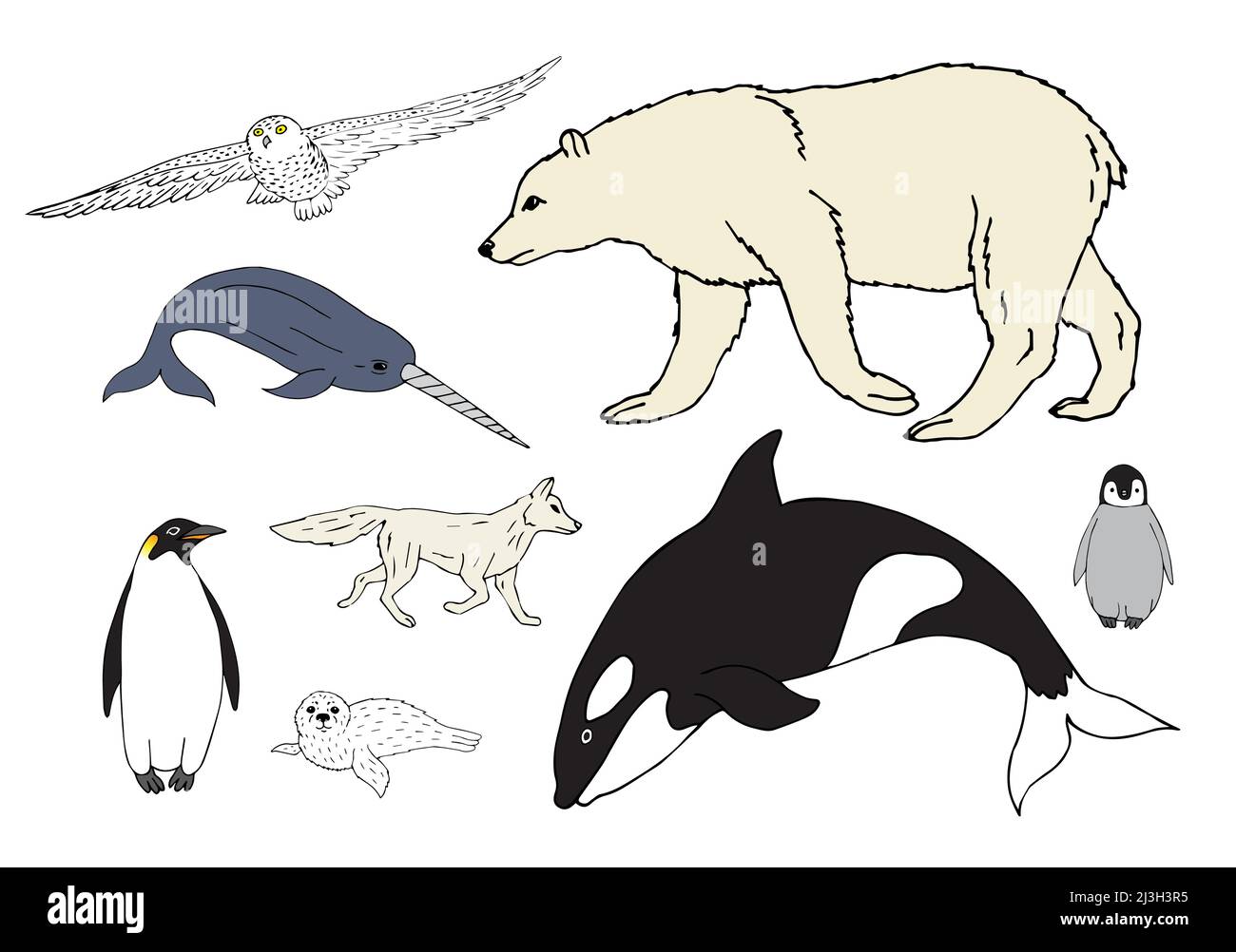 Polar Habitat Animals