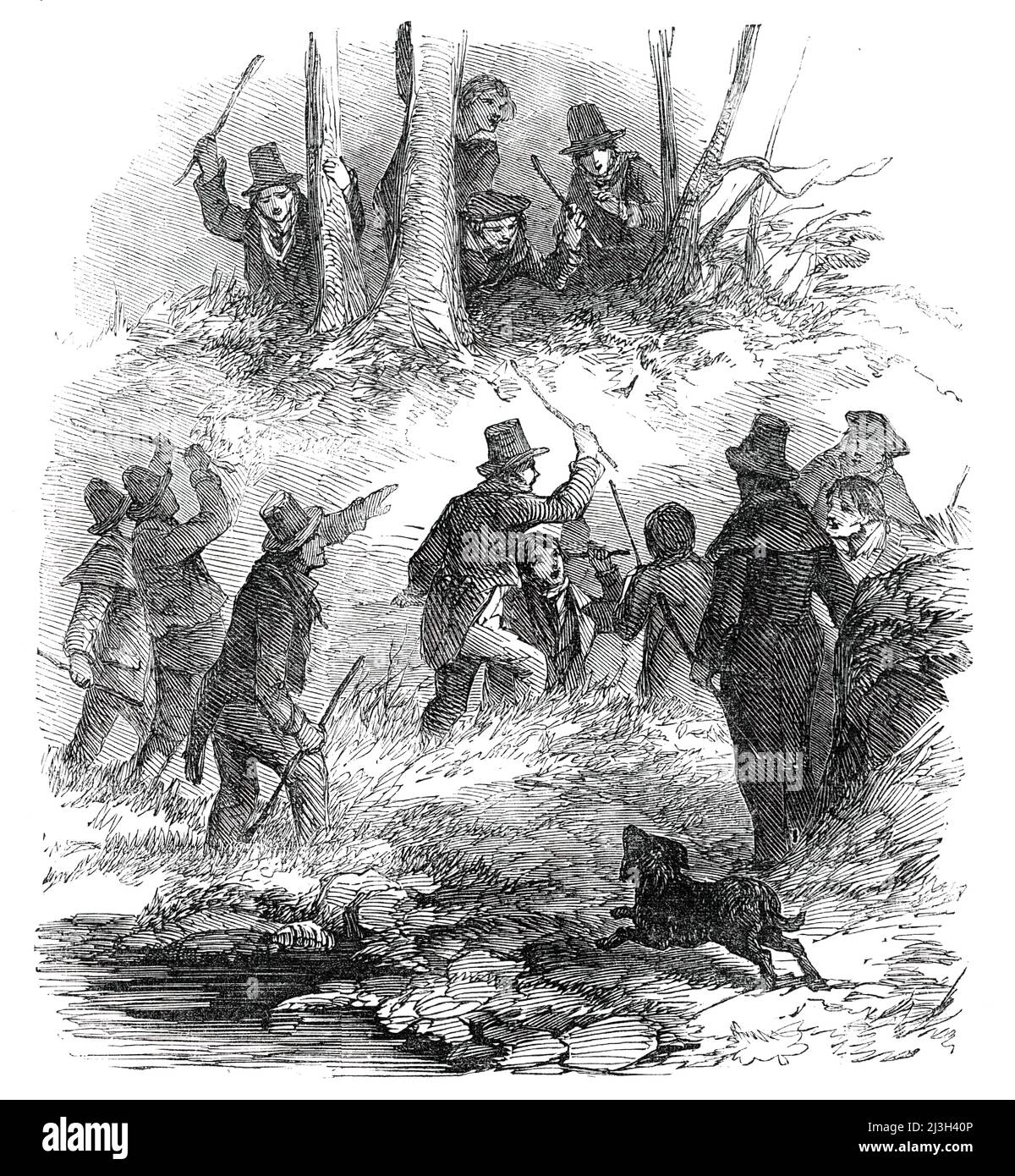 Hunting the Wren at Christmas, 1850. Annual tradition during the ...
