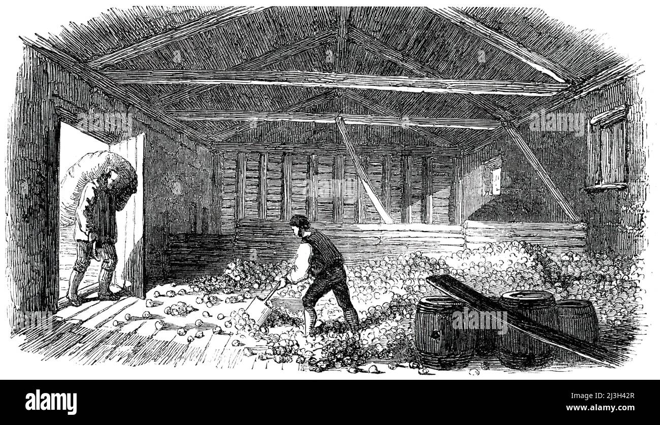 Victorian farm labourers hi-res stock photography and images - Alamy