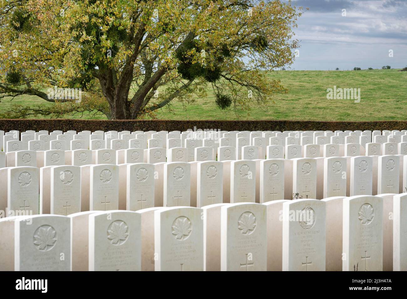 France, Seine Maritime, Hautot-sur-Mer, Vertus cemetery, Canadian ...