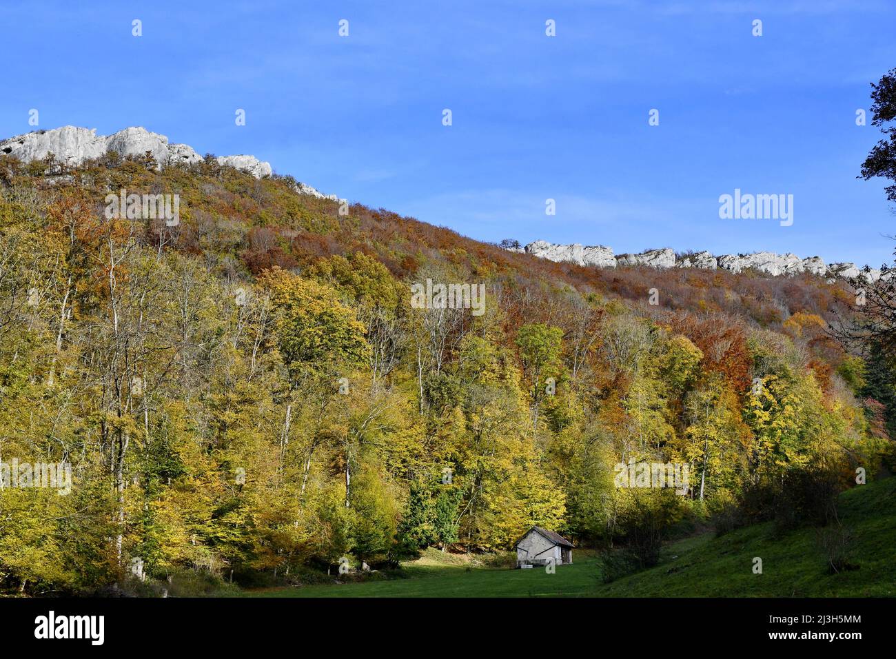 France, Doubs, Pont de Roide, Crêt des Roches, autumn, nature reserve ...