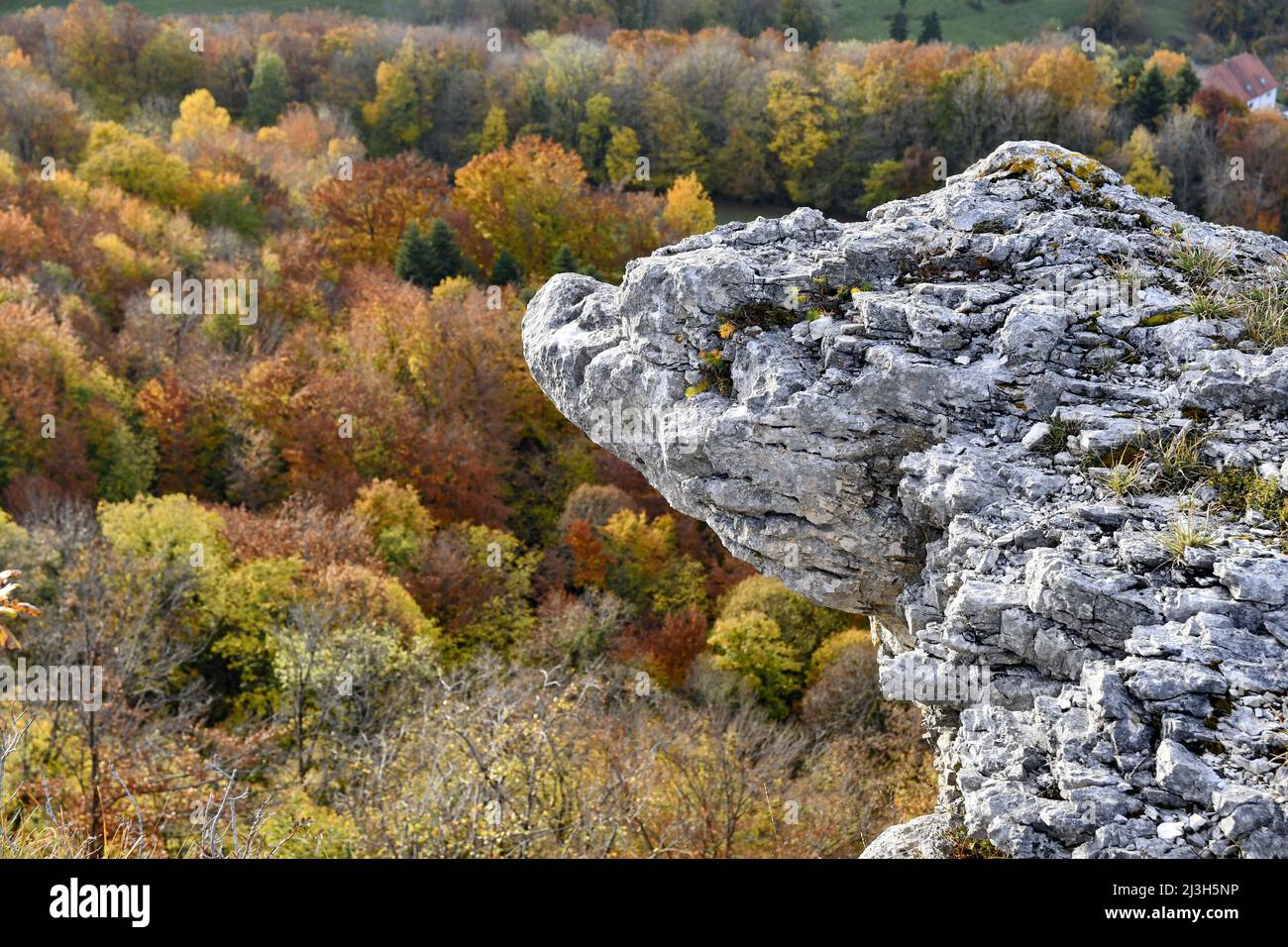 France, Doubs, Pont de Roide, Crêt des Roches, autumn, nature reserve ...