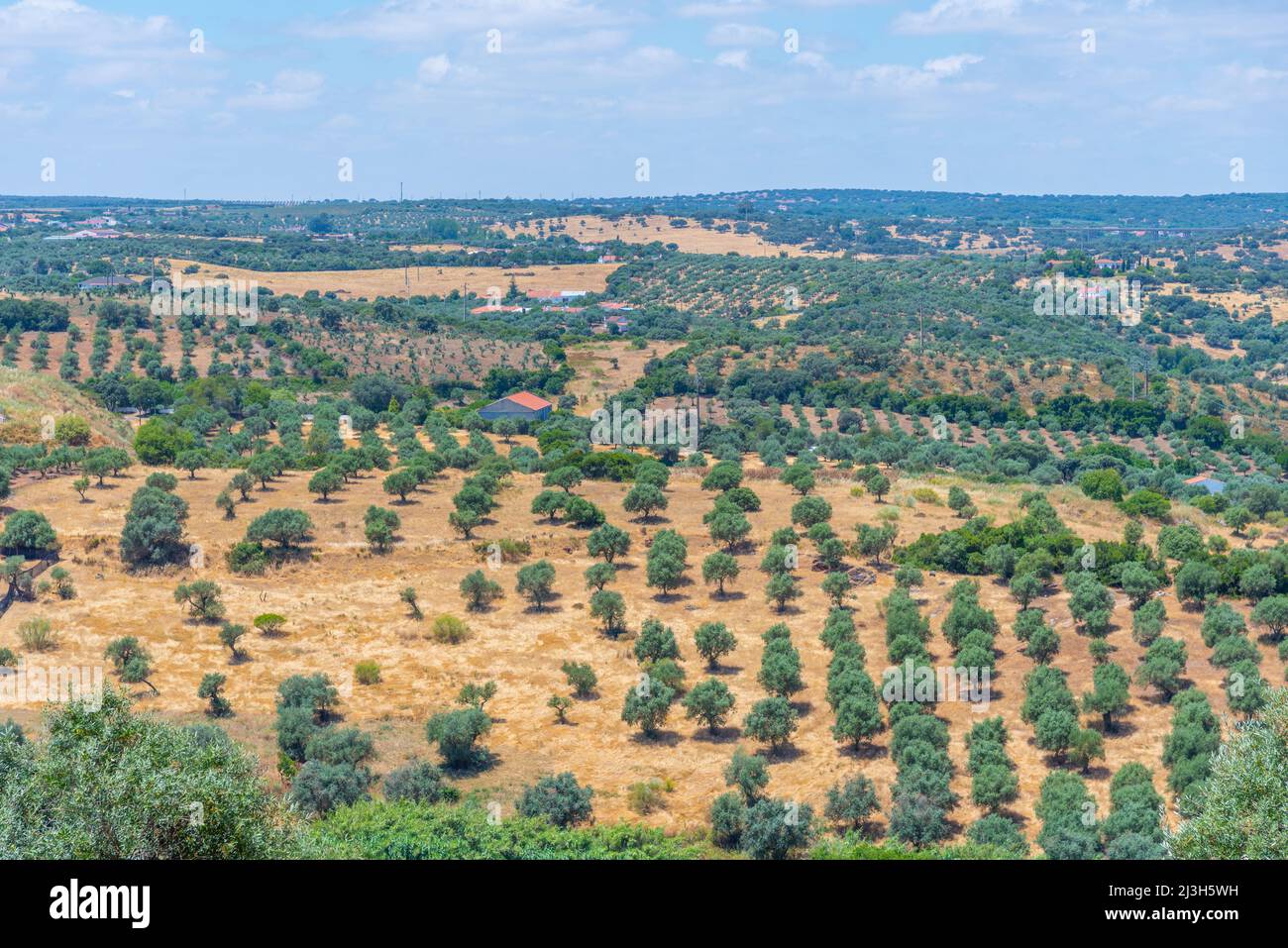 Rural landscape of Alentejo region in Portugal Stock Photo - Alamy