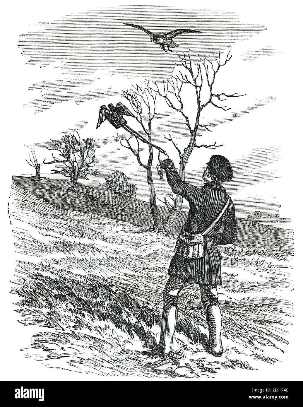 Hawking - the Lure, 1850. 'A fine exhibition came off...on the ...