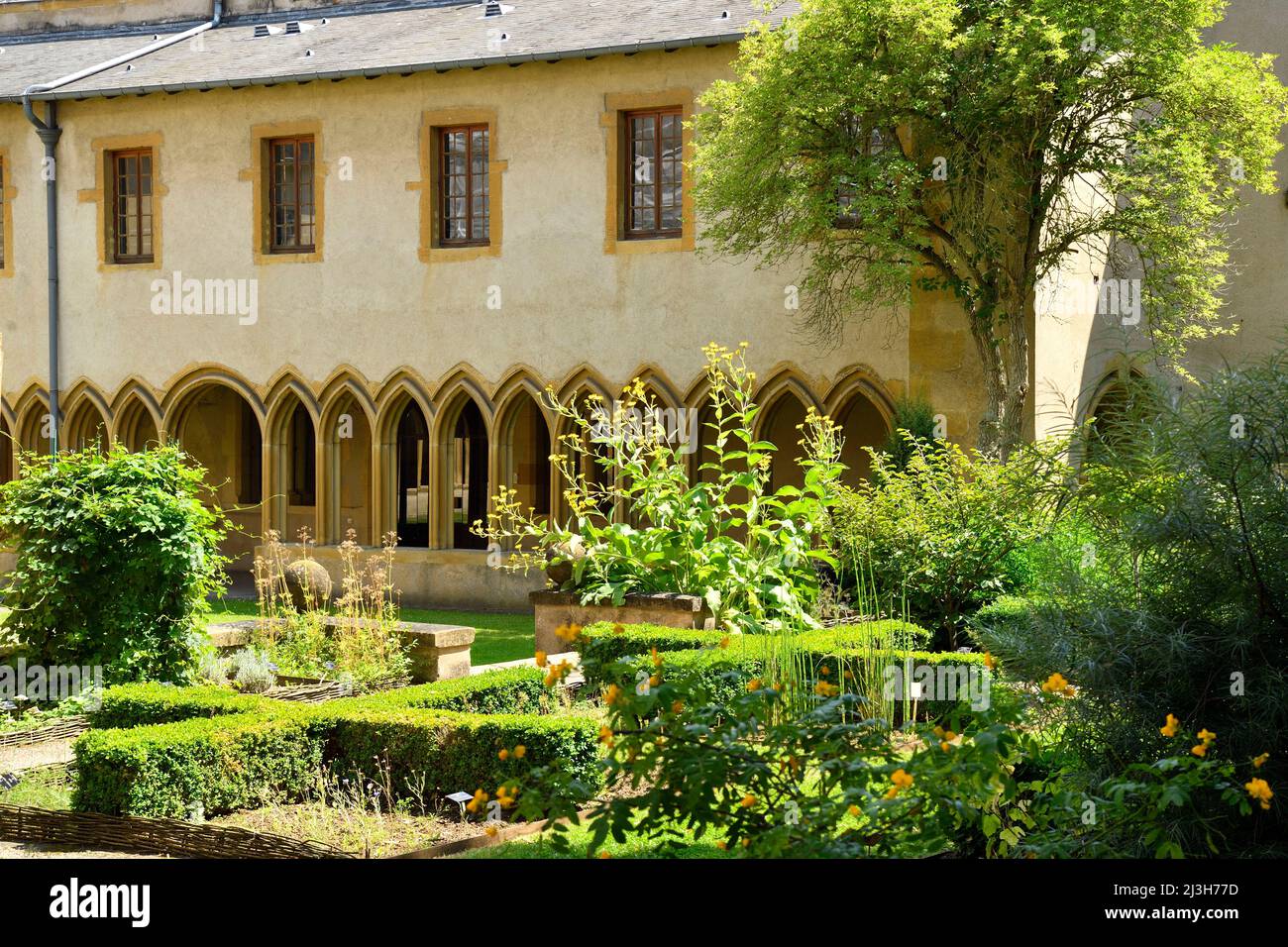 Garden of medicinal plants hi-res stock photography and images - Alamy
