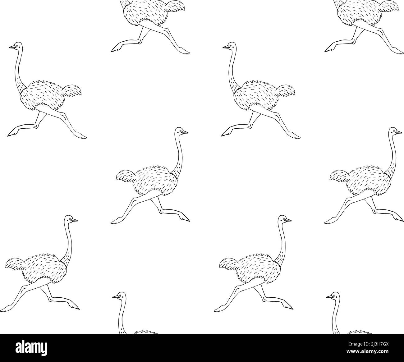 Vector seamless pattern of hand drawn black sketch doodle ostrich ...
