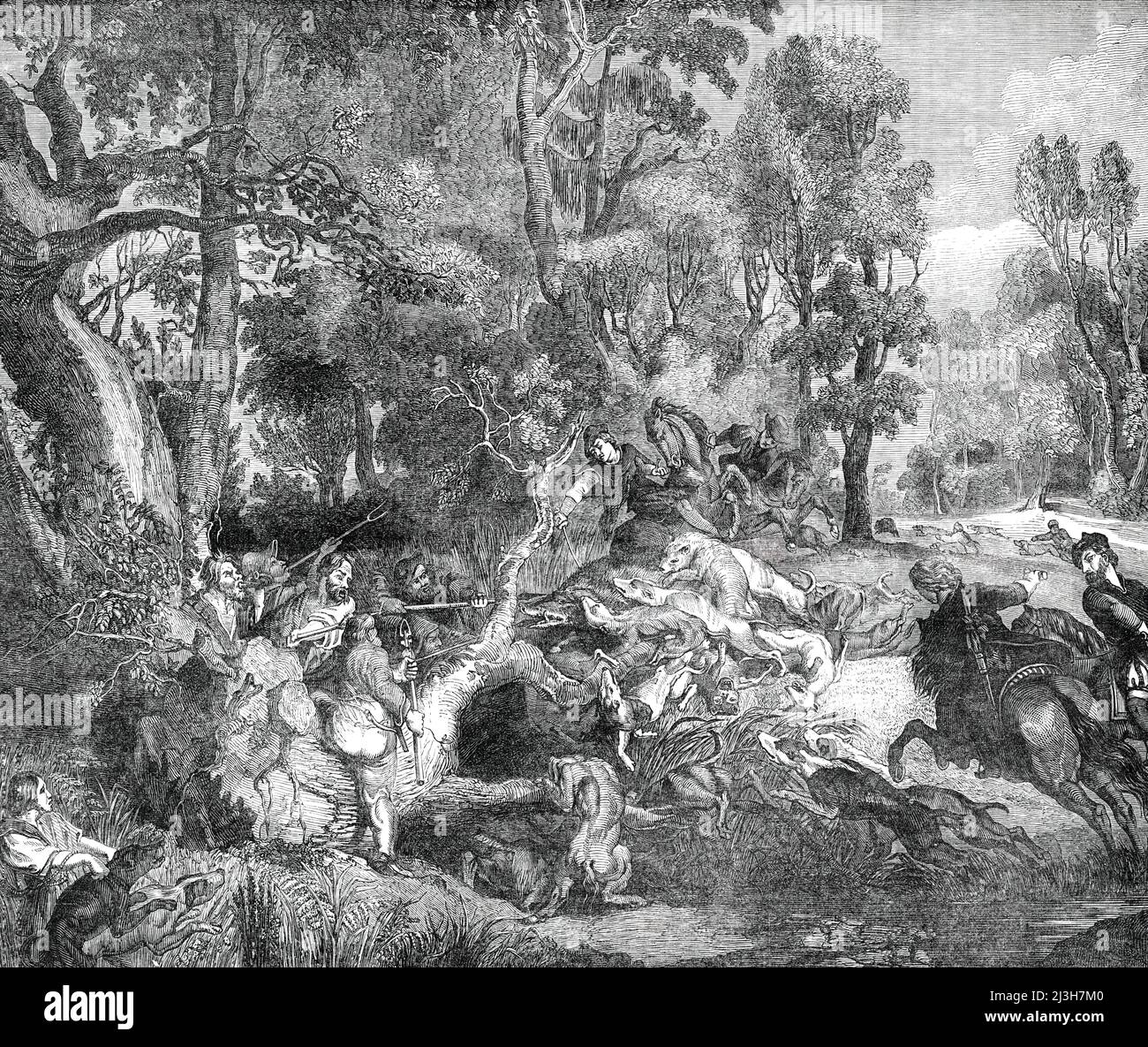 Man riding pig hi-res stock photography and images - Alamy