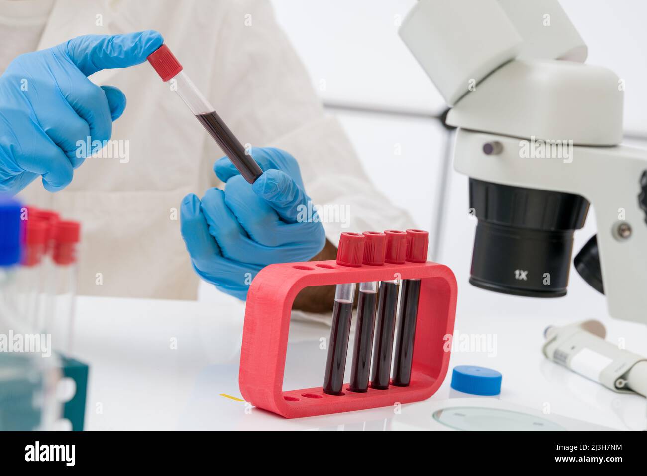 Scientific experiment in the laboratory of the metabolism of living ...
