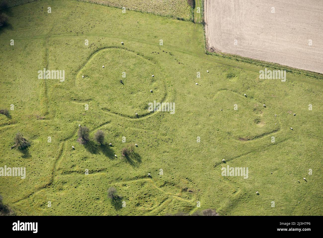 Iron Age and Romano British settlement remains on Rotherley Down within ...