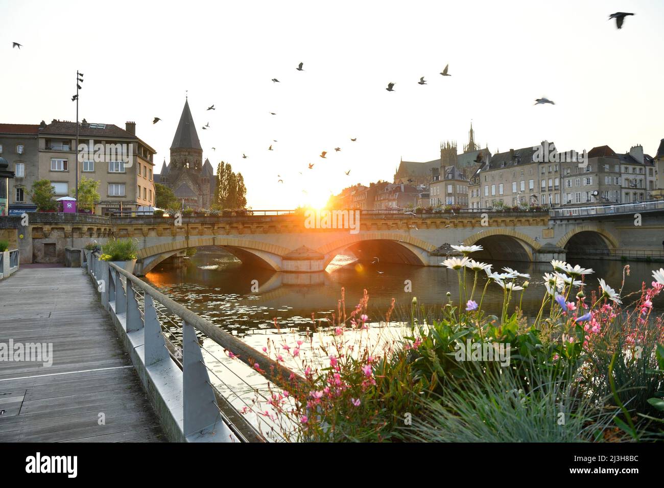 France, Moselle, Metz, the Moselle river banks, the Moyen bridge, Petit ...