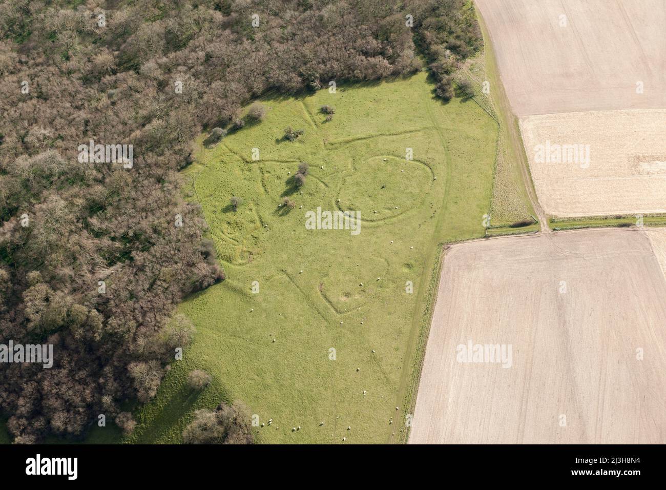 Iron Age and Romano British settlement remains on Rotherley Down within ...