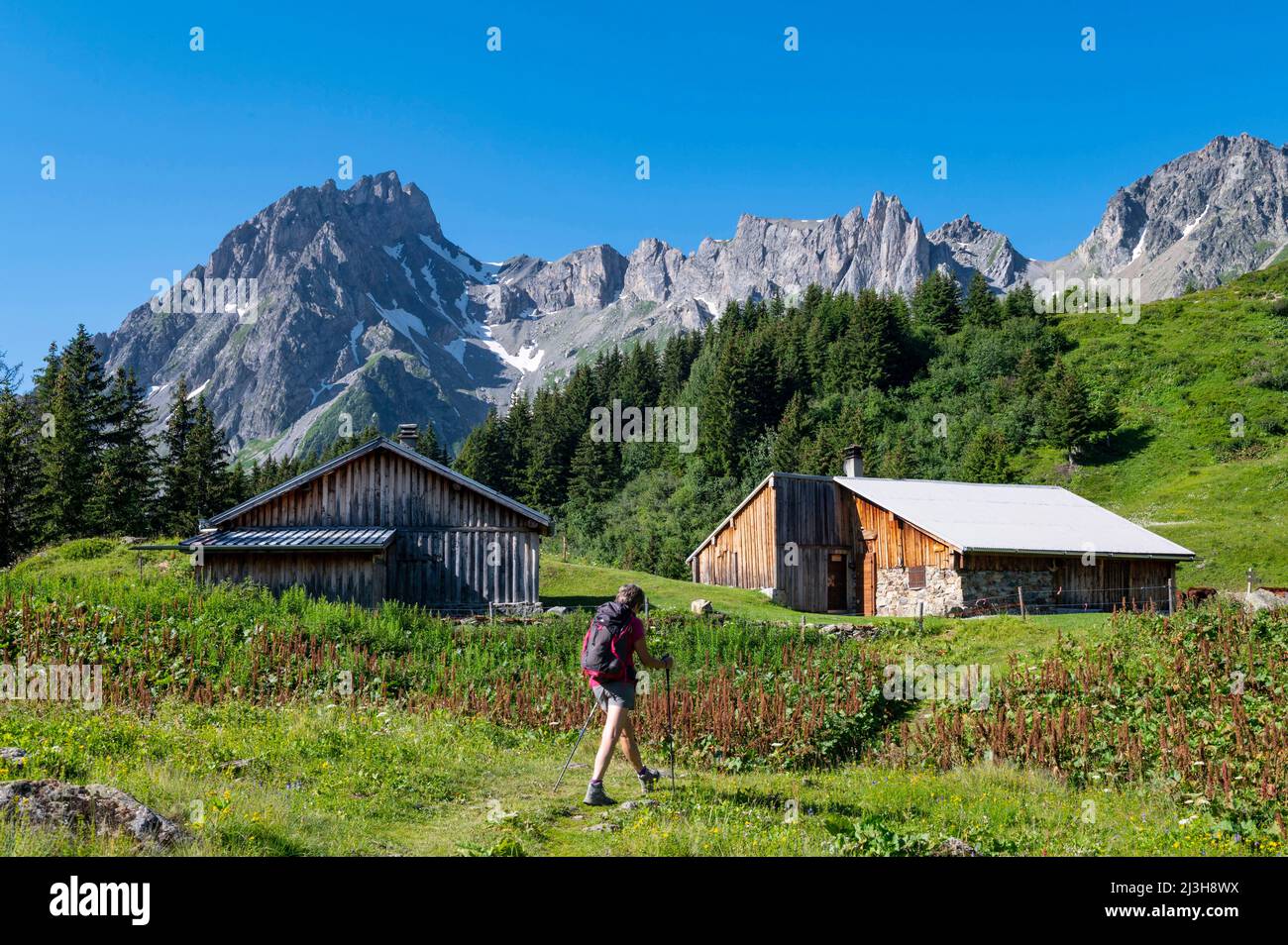 France, Haute Savoie, Mont Blanc massif, Contamines Montjoie ...