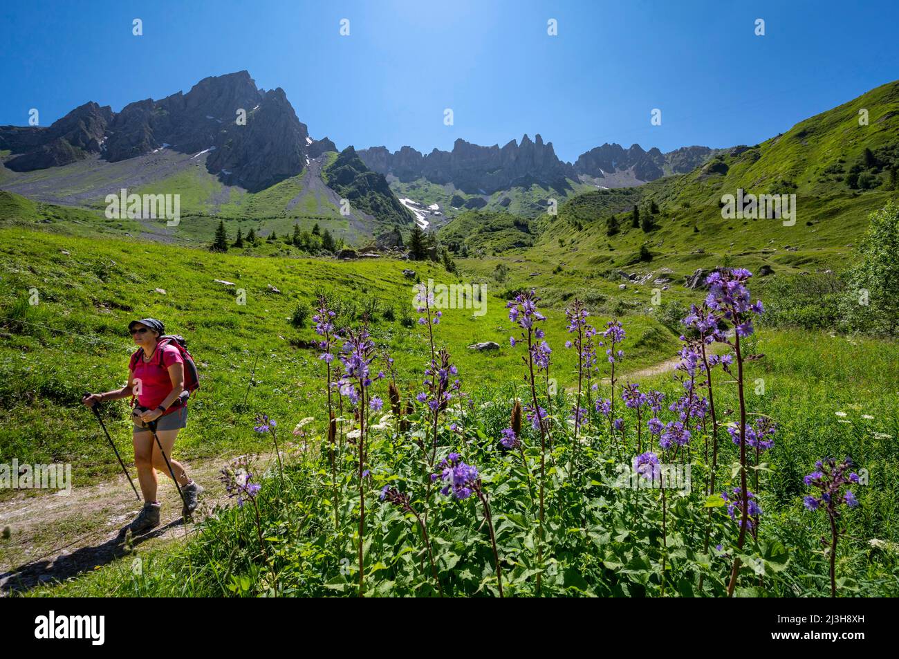 France, Haute Savoie, Mont Blanc massif, Contamines Montjoie ...