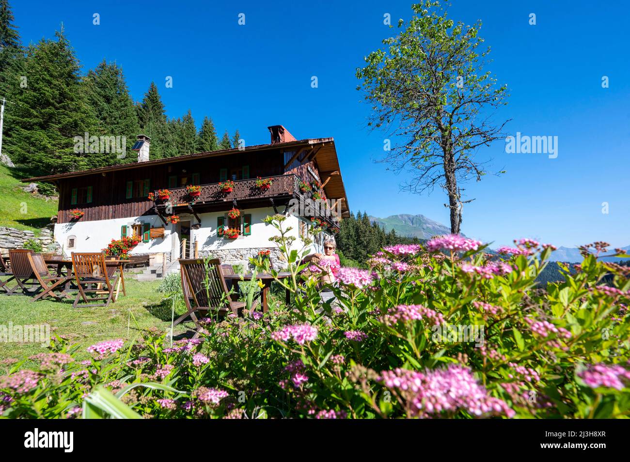 France, Haute Savoie, Mont Blanc massif, Contamines Montjoie ...