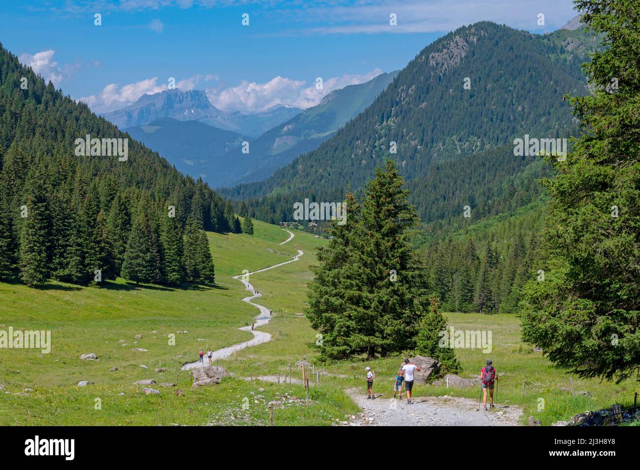 France, Haute Savoie, Mont Blanc massif, Contamines Montjoie ...