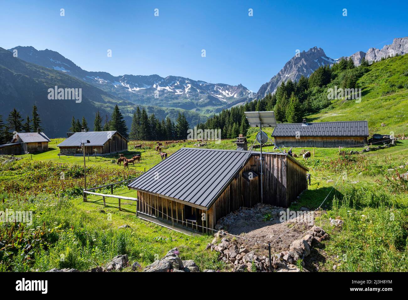 France, Haute Savoie, Mont Blanc massif, Contamines Montjoie ...