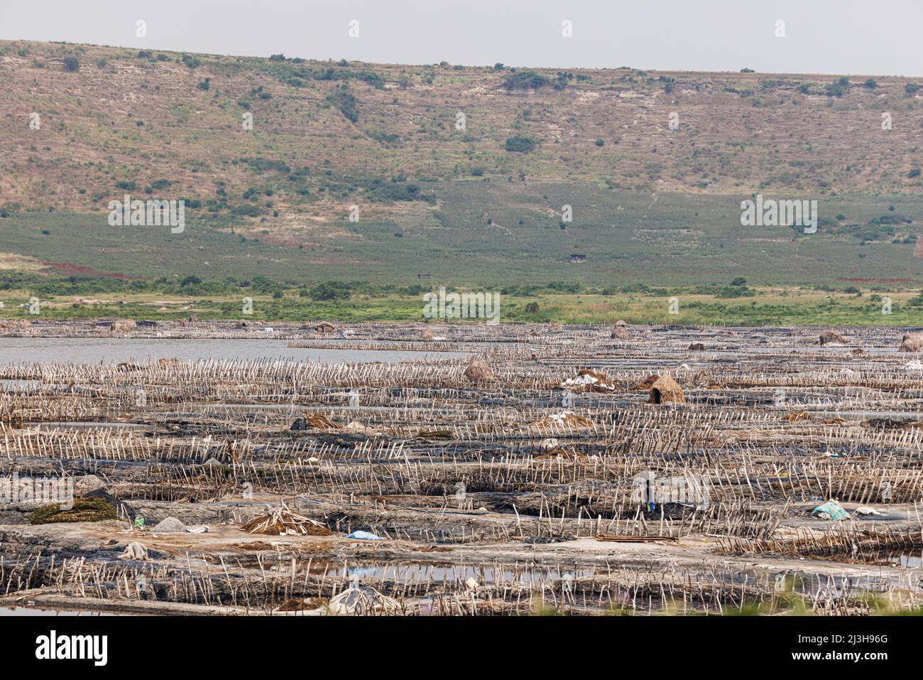 Uganda, Kasese district, Katwe, Katwe crater lake, salt plots Stock ...