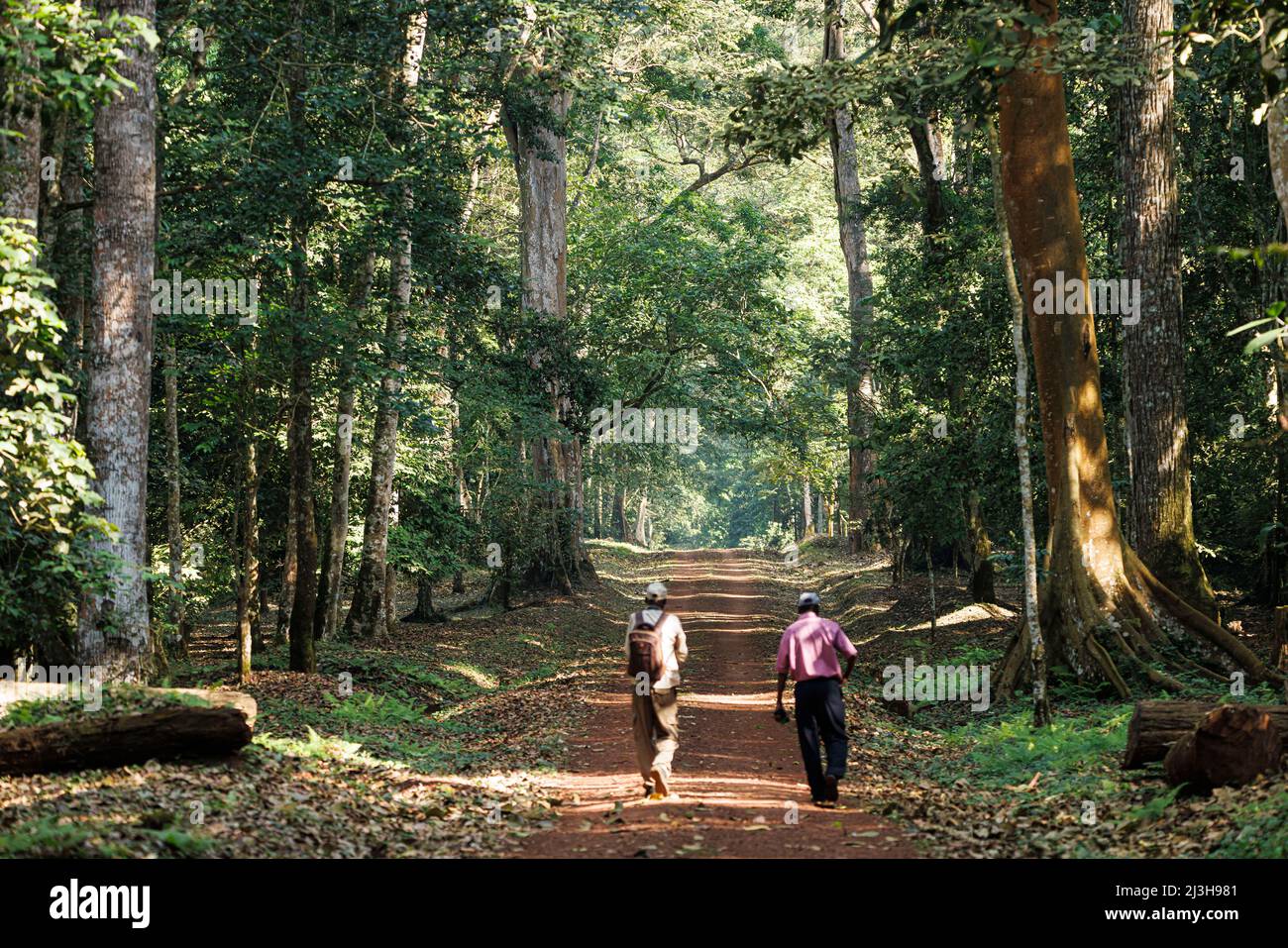 Masindi hi-res stock photography and images - Alamy