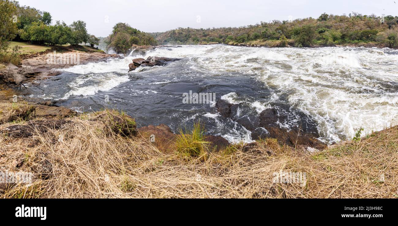 Uganda, Nwoya District, Pakwach, Murchison falls National Park, the ...