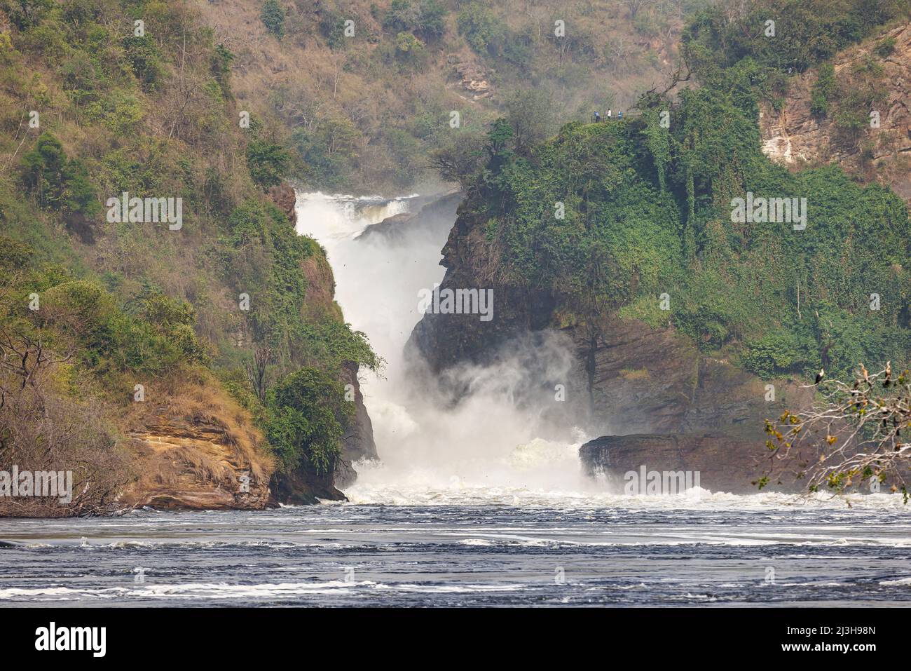 Uganda, Nwoya District, Pakwach, Murchison falls National Park, the ...
