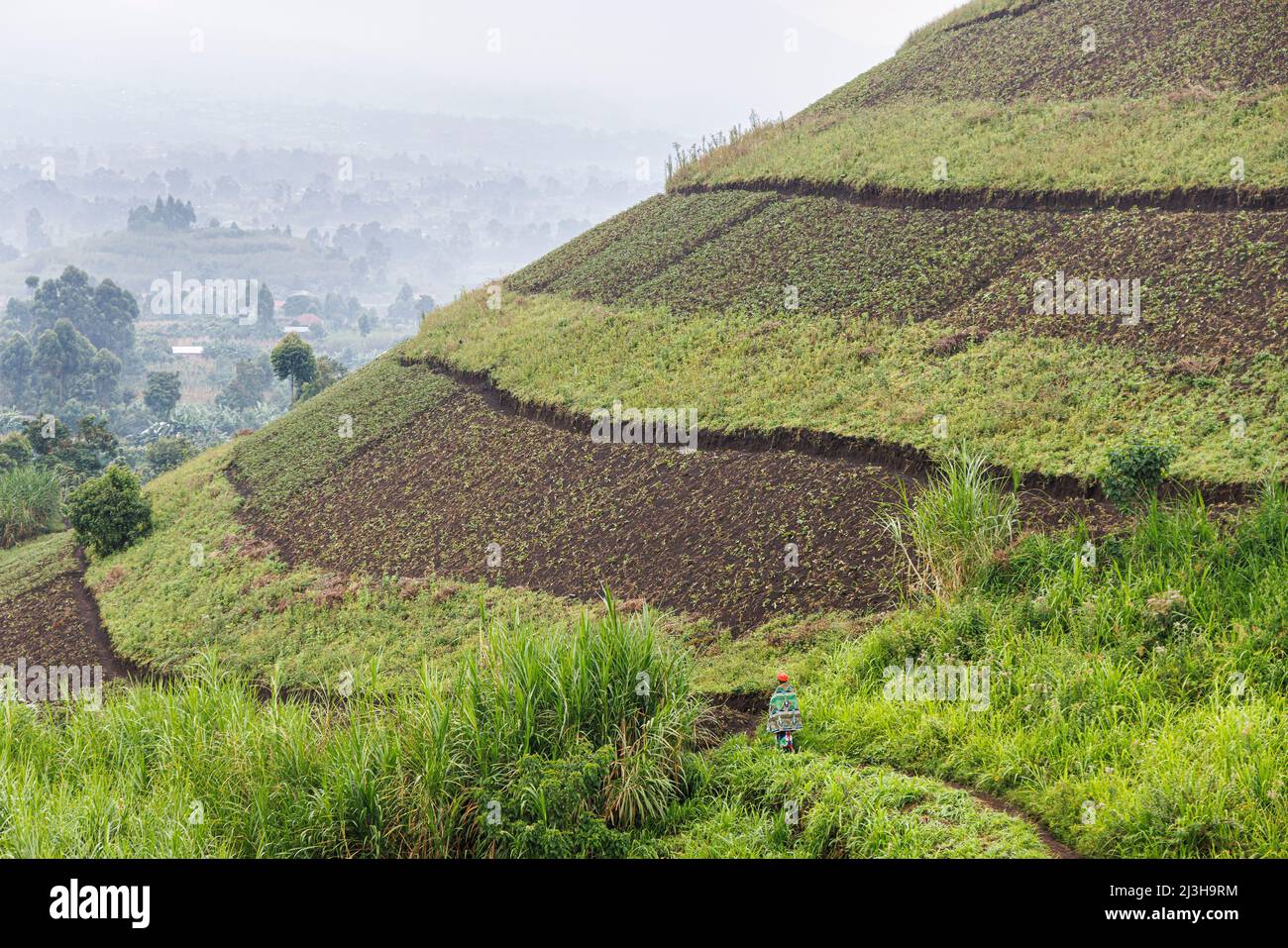 Kisoro district hi-res stock photography and images - Alamy