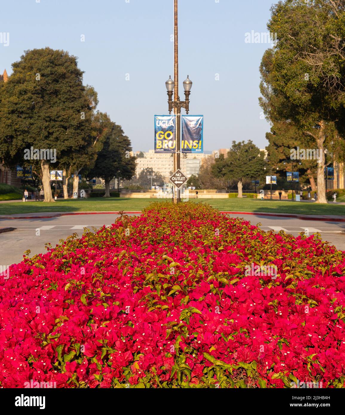 Ucla students campus hi-res stock photography and images - Alamy