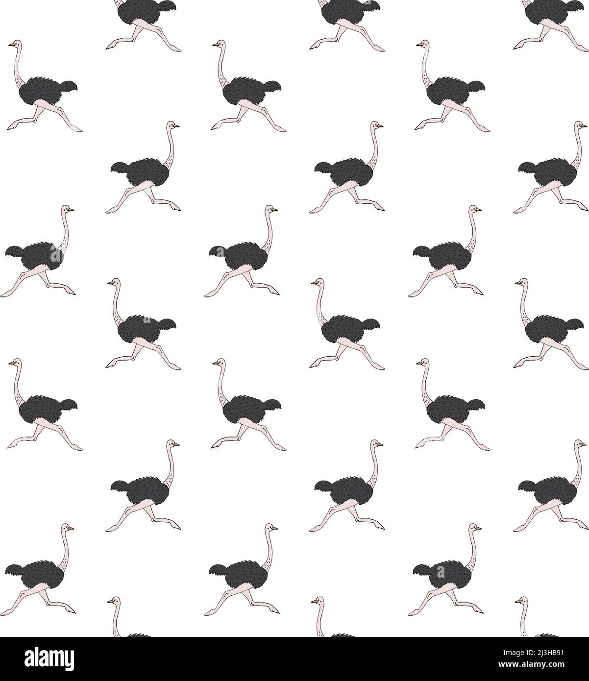 Vector seamless pattern of hand drawn colored sketch doodle ostrich ...