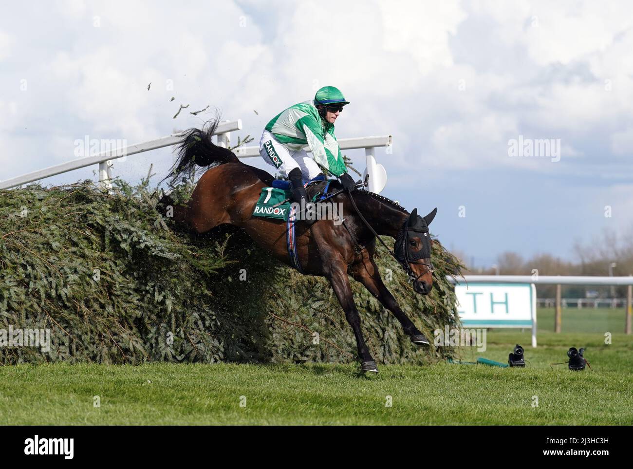 Royal rendezvous horse hi-res stock photography and images - Alamy