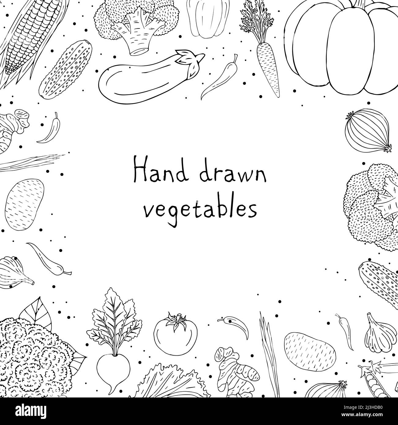 Vector hand drawn doodle sketch vegetables frame isolated on white ...