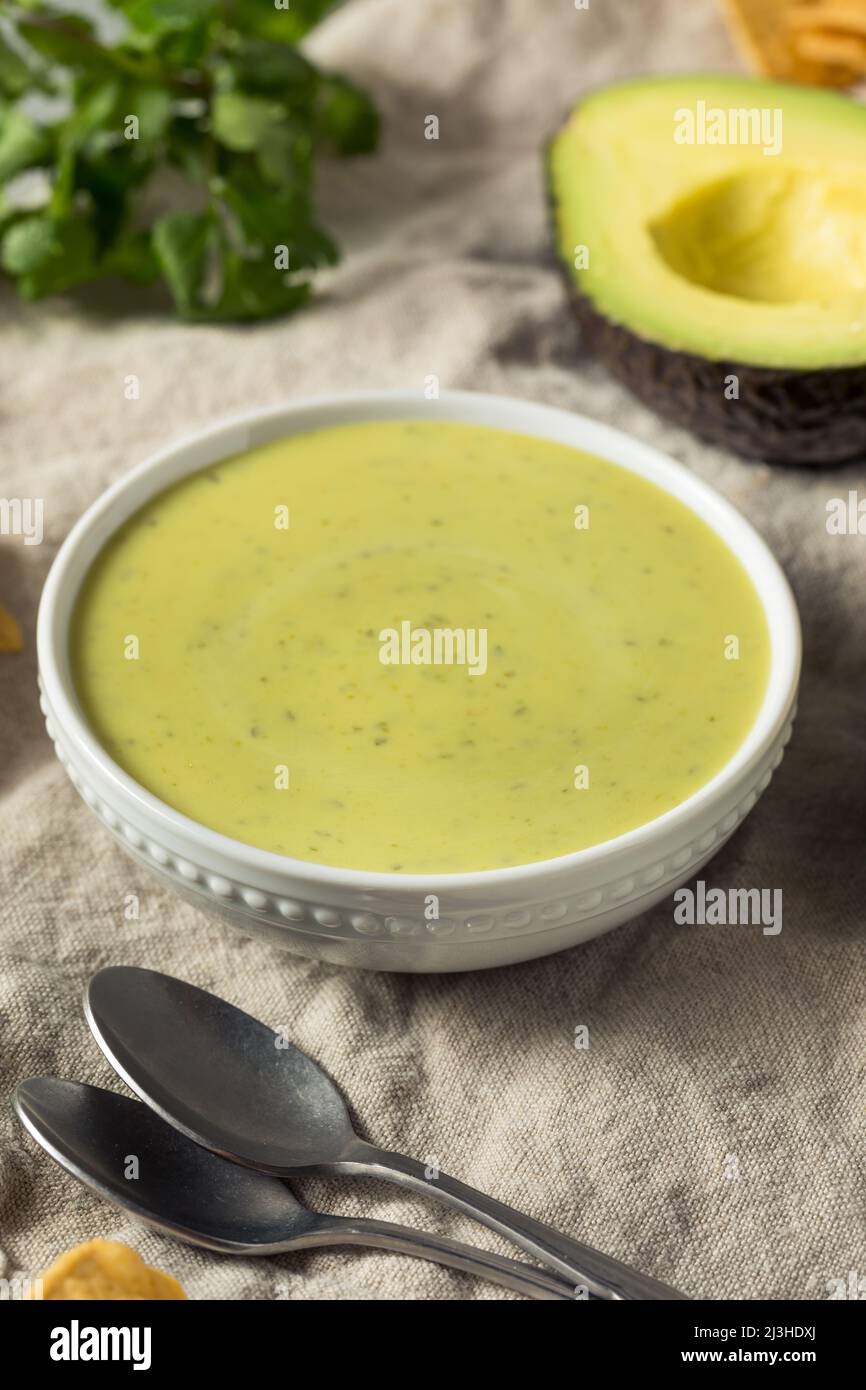 Homemade Mexican Green Avocado Salsa with Tortilla Chips Stock Photo ...