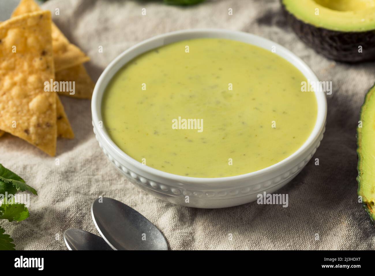 Homemade Mexican Green Avocado Salsa with Tortilla Chips Stock Photo ...