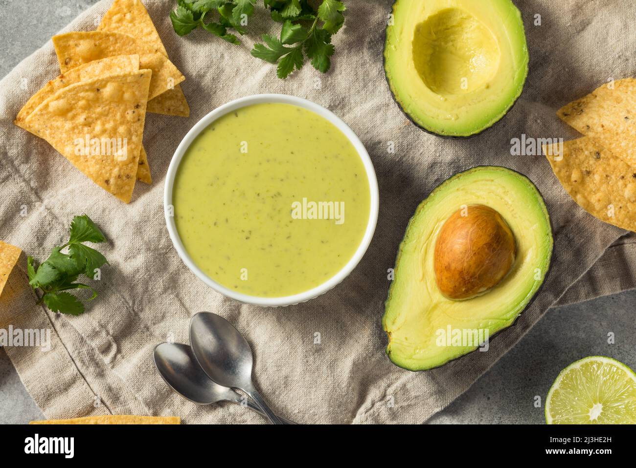 Homemade Mexican Green Avocado Salsa with Tortilla Chips Stock Photo ...