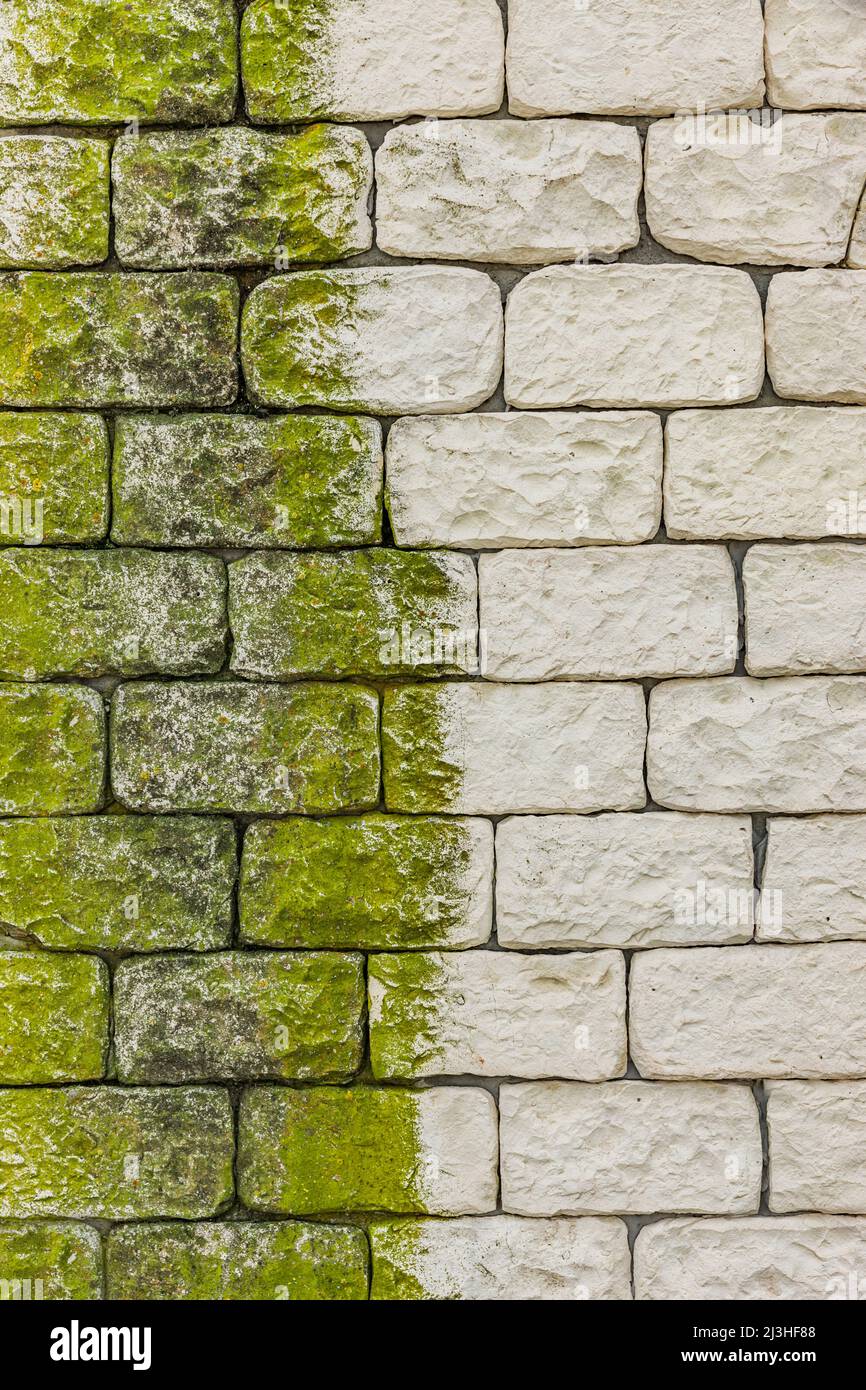 Algae coating on a natural stone wall hi-res stock photography and ...